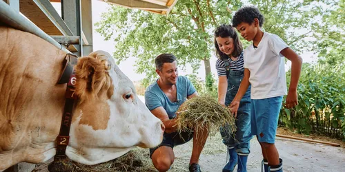 Unboxing Bavaria: The Pink Cow - A visit to the Franconian dairy farm ...